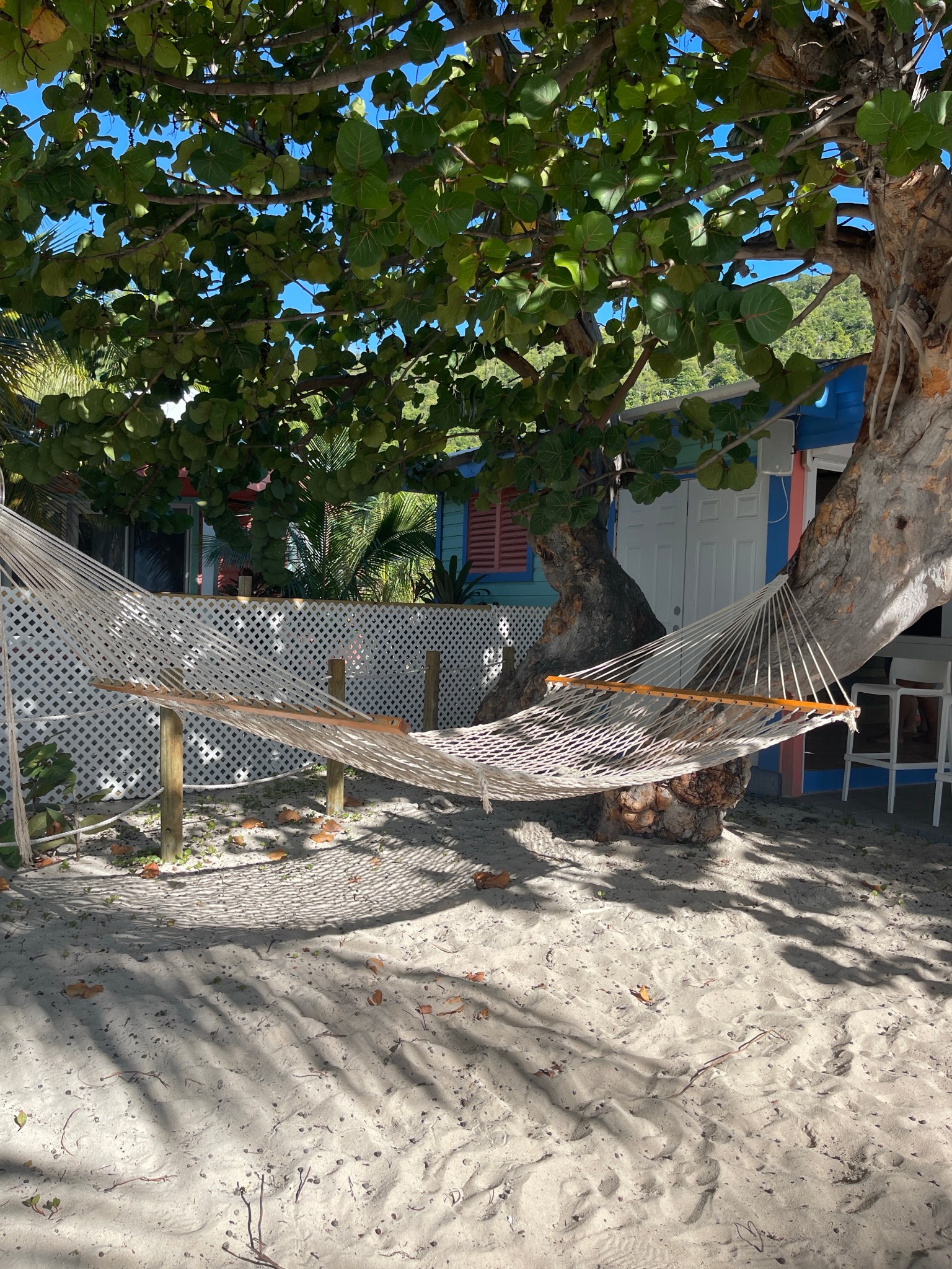 5 Reasons You Should Visit the Soggy Dollar Bar in Jost Van Dyke – Lois ...